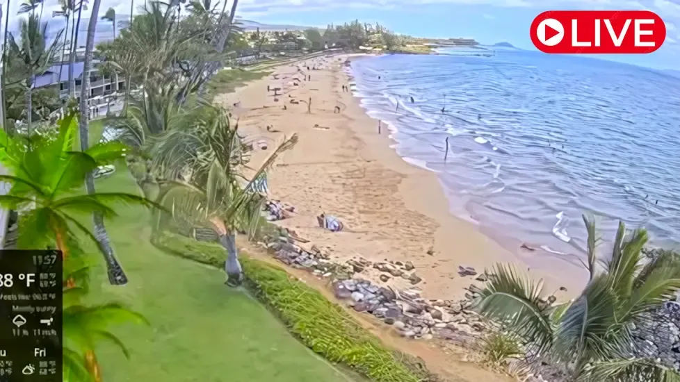Live Webcam Hale Pau Hana Surf, Hawaii