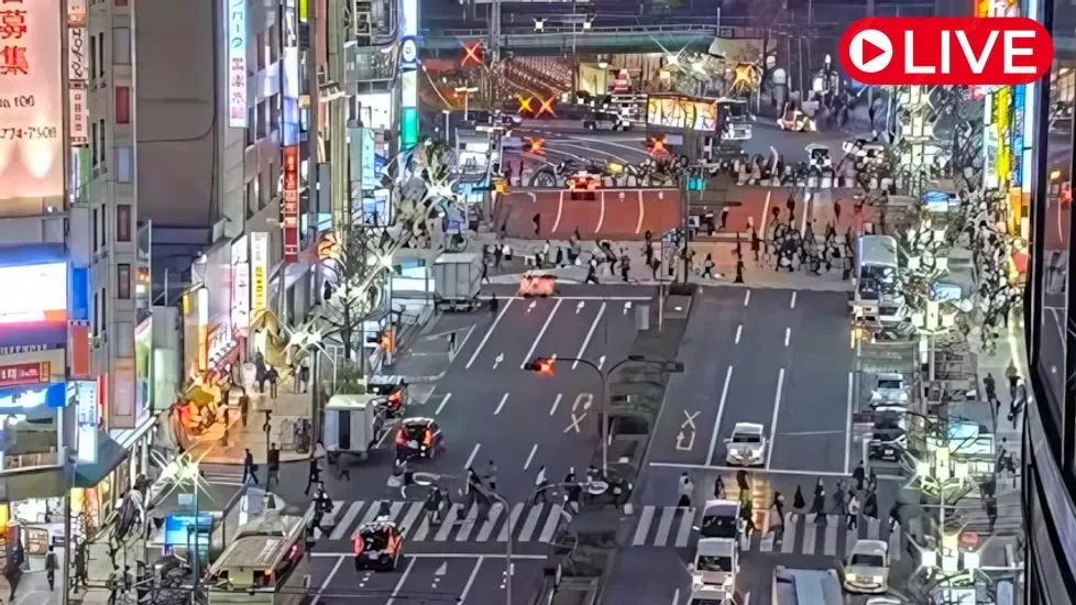 Live Webcam Kabukicho Crossing, Tokyo
