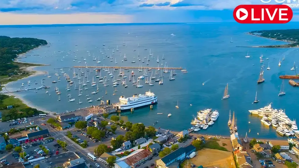 Live Webcam Martha's Vineyard Ferry, Massachusetts