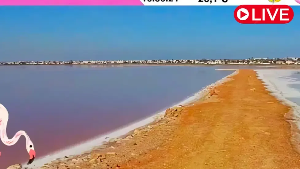 Live Webcam Salinas de Torrevieja, Alicante